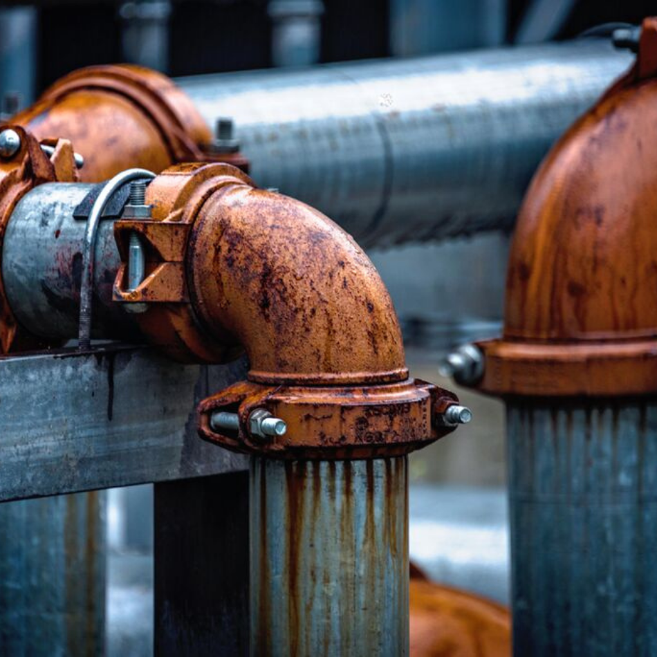 Pakiet bakteriologiczny – SGS Polska